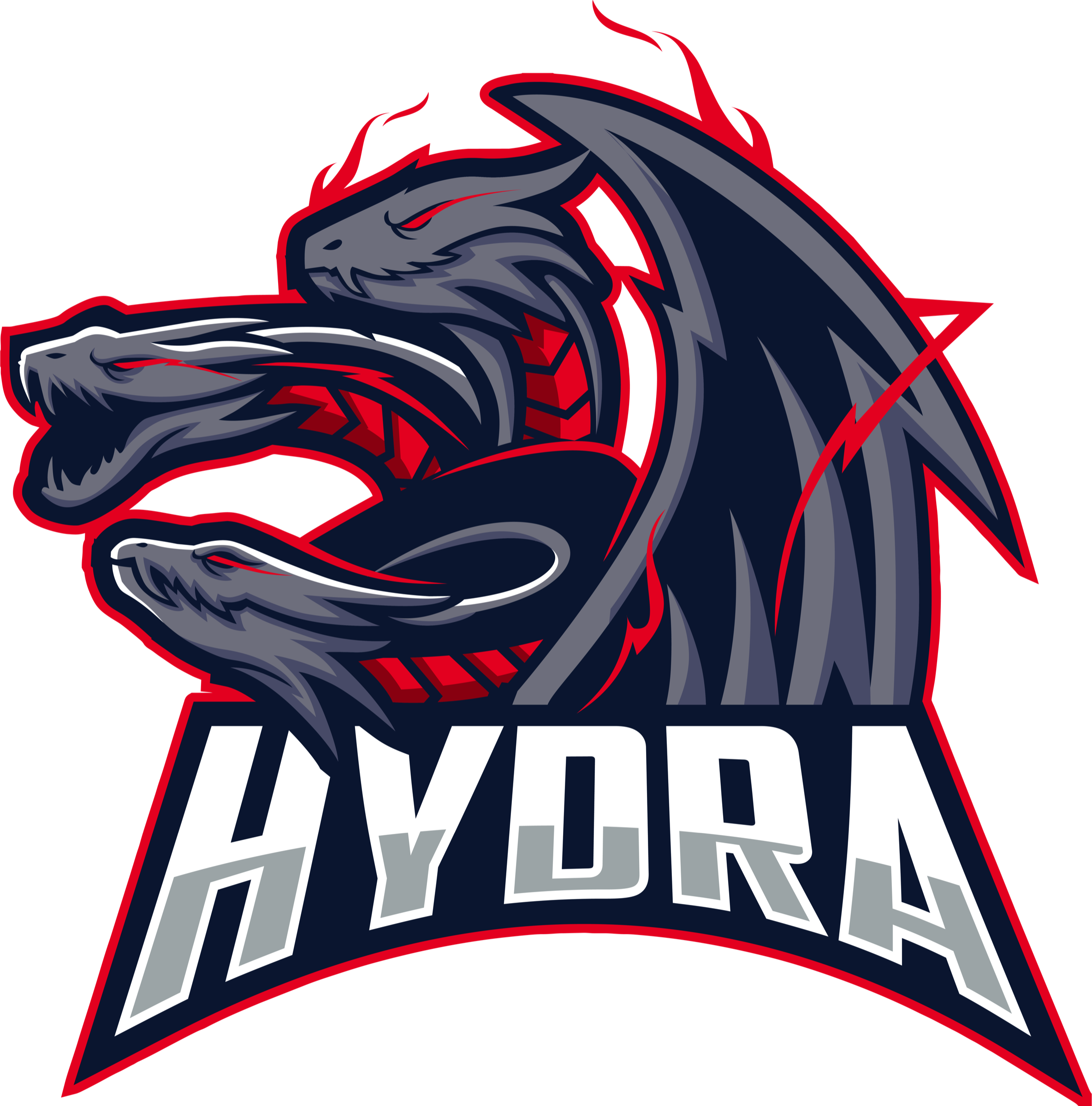 Rcce Rocheston Certified Cybersecurity Engineer